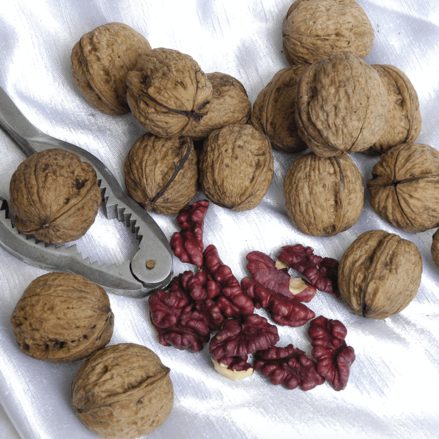 Nut Trees: Robert Livermore Walnut